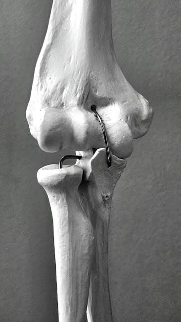 Science Pacing Guide: Master Your Curriculum